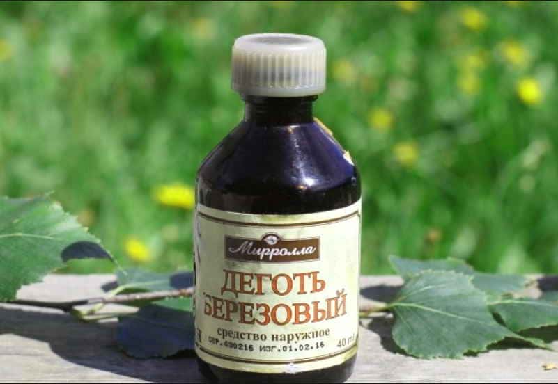 Березовый деготь от геморроя: 5 способов применения, рекомендации